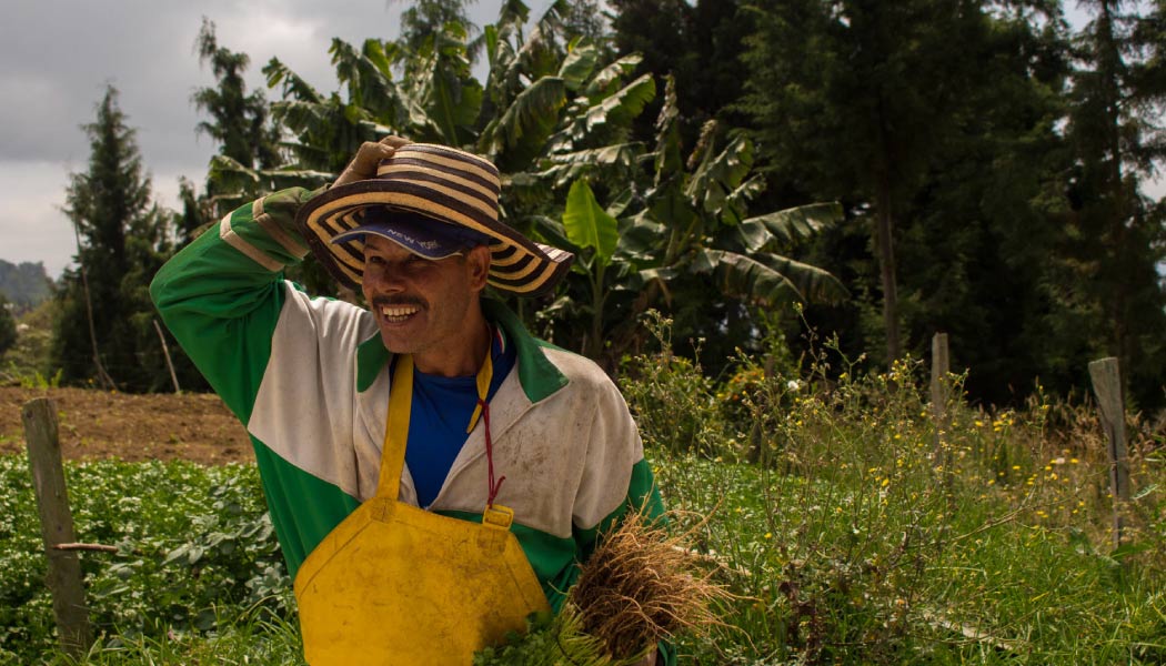 Mercados Campesinos: un espacio para celebrar el trabajo en la ruralidad